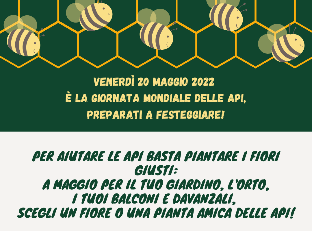 Giornata Mondiale delle api - 20 maggio 2022 - FIDAPA - Distretto Nord ...